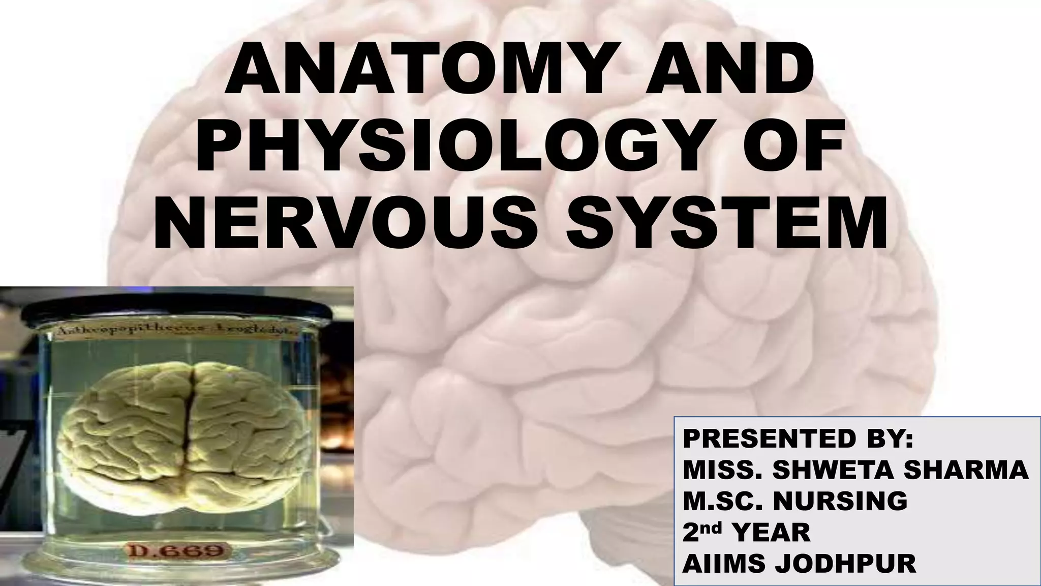 Anatomy and physiology of nervous system | PPTX
