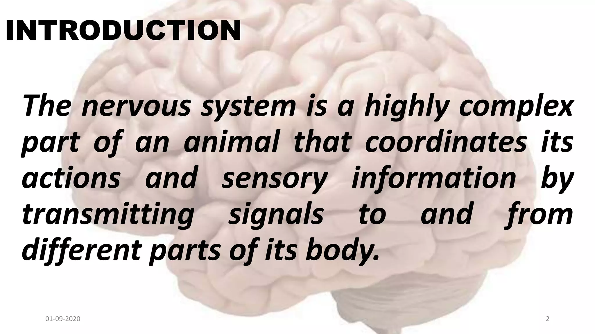 Anatomy and physiology of nervous system | PPTX