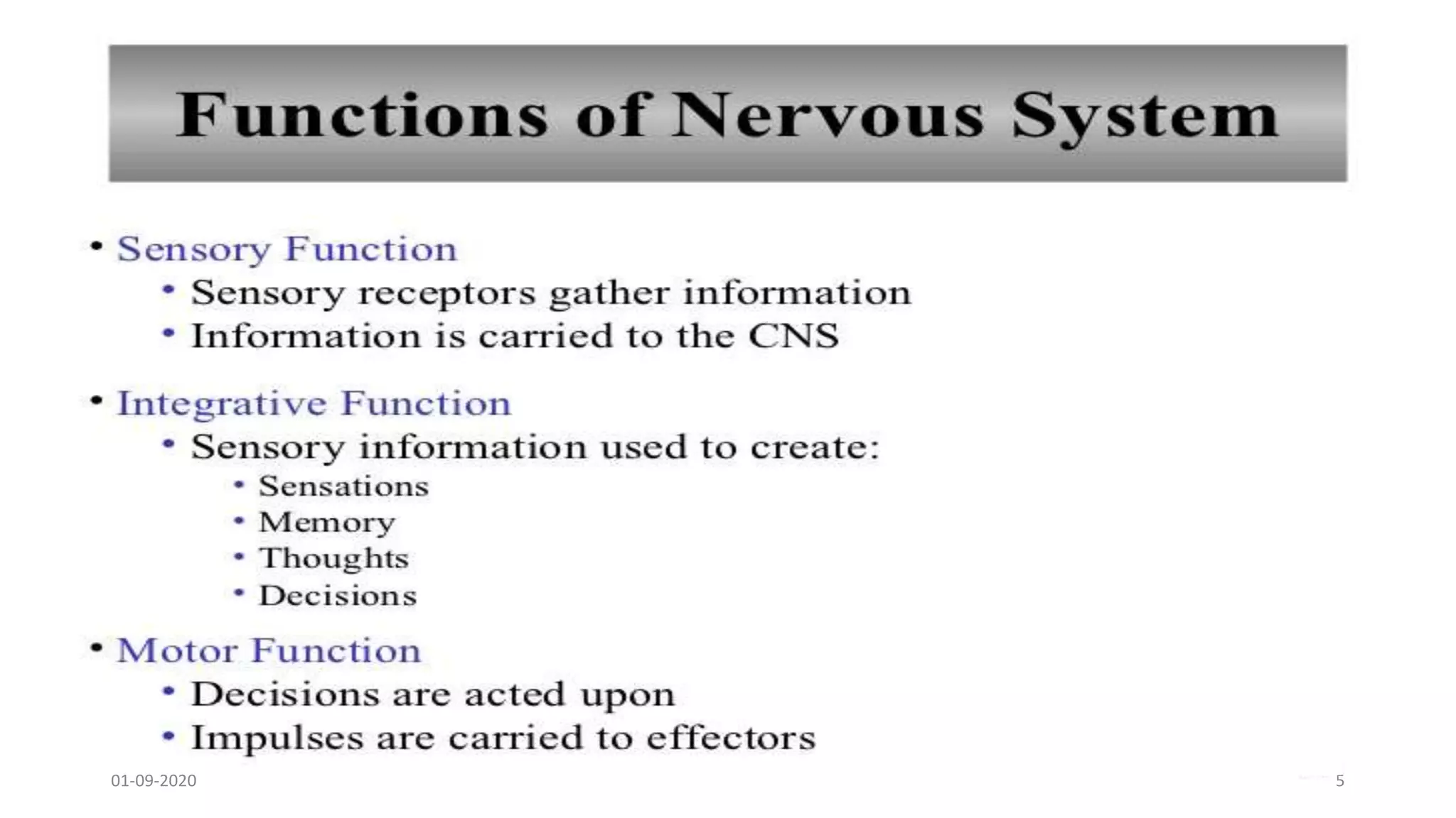 Anatomy and physiology of nervous system | PPTX