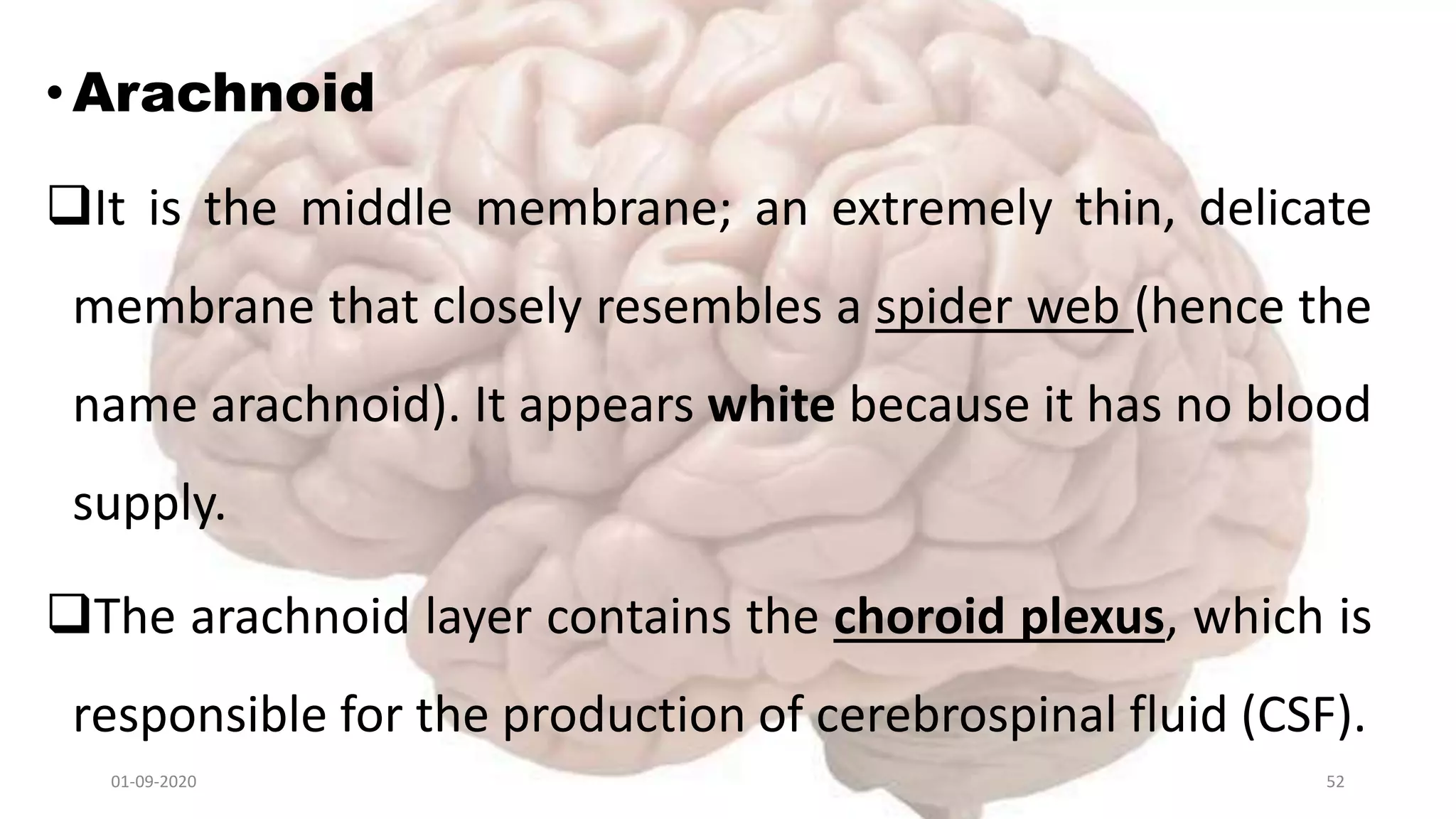 Anatomy and physiology of nervous system | PPTX
