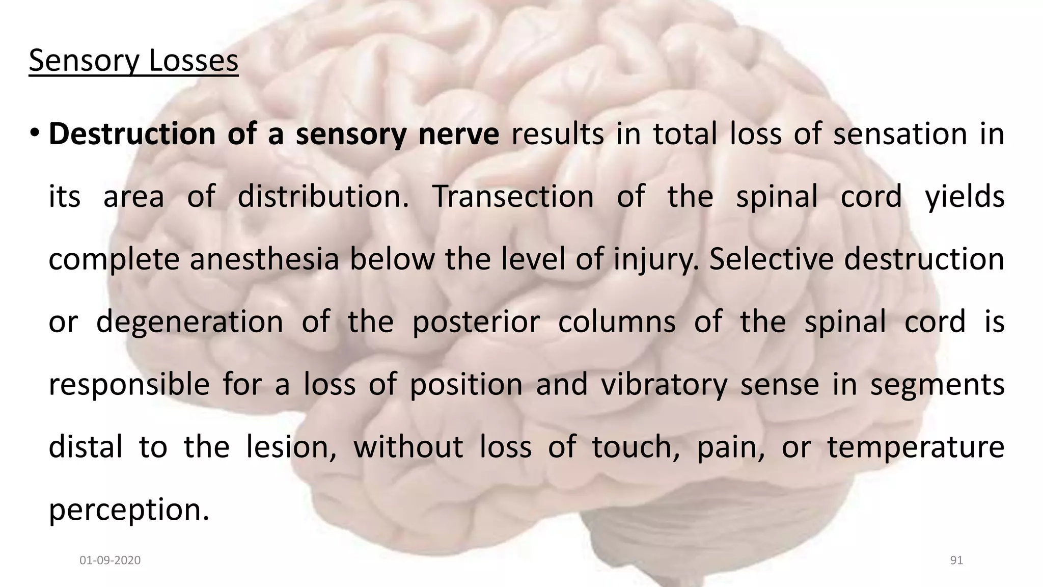 Anatomy and physiology of nervous system | PPTX
