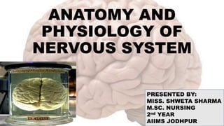 Anatomy and physiology of nervous system | PPTX