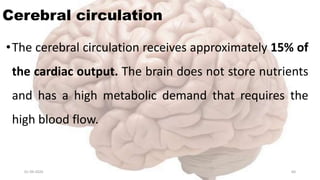 Anatomy and physiology of nervous system | PPTX