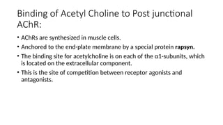 Anatomy and physiology of Neuromuscular Junction (2).pptx