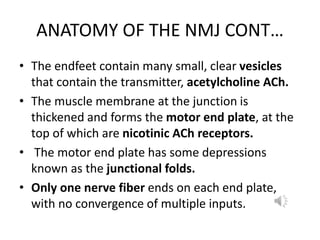 ANATOMY AND PHYSIOLOGY Of NMJ DA UPDATE 2024 .pdf