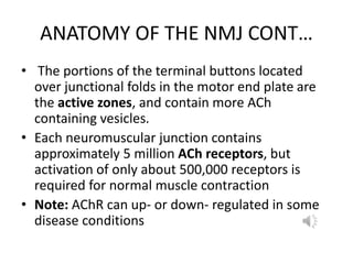 ANATOMY AND PHYSIOLOGY Of NMJ DA UPDATE 2024 .pdf