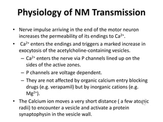 ANATOMY AND PHYSIOLOGY Of NMJ DA UPDATE 2024 .pdf
