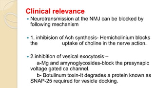 ANATOMY AND PHYSIOLOGY OF NMJ Prabhat (3).pptx