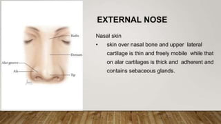 Anatomy and Physiology of Nose.pptx