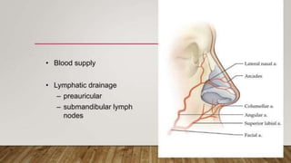 Anatomy and Physiology of Nose.pptx