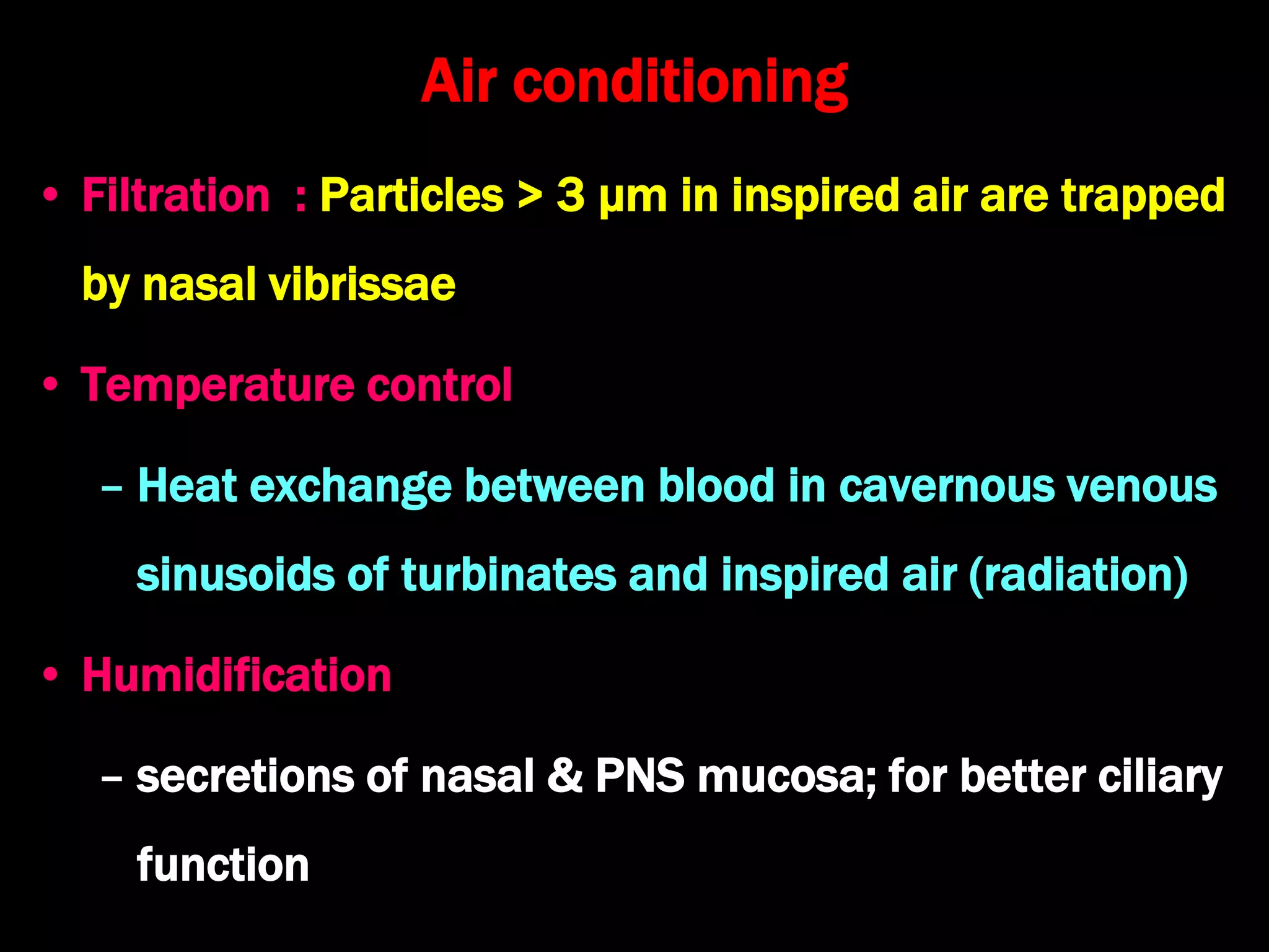 Anatomy and physiology of nose and paranasal sinuses | PPT