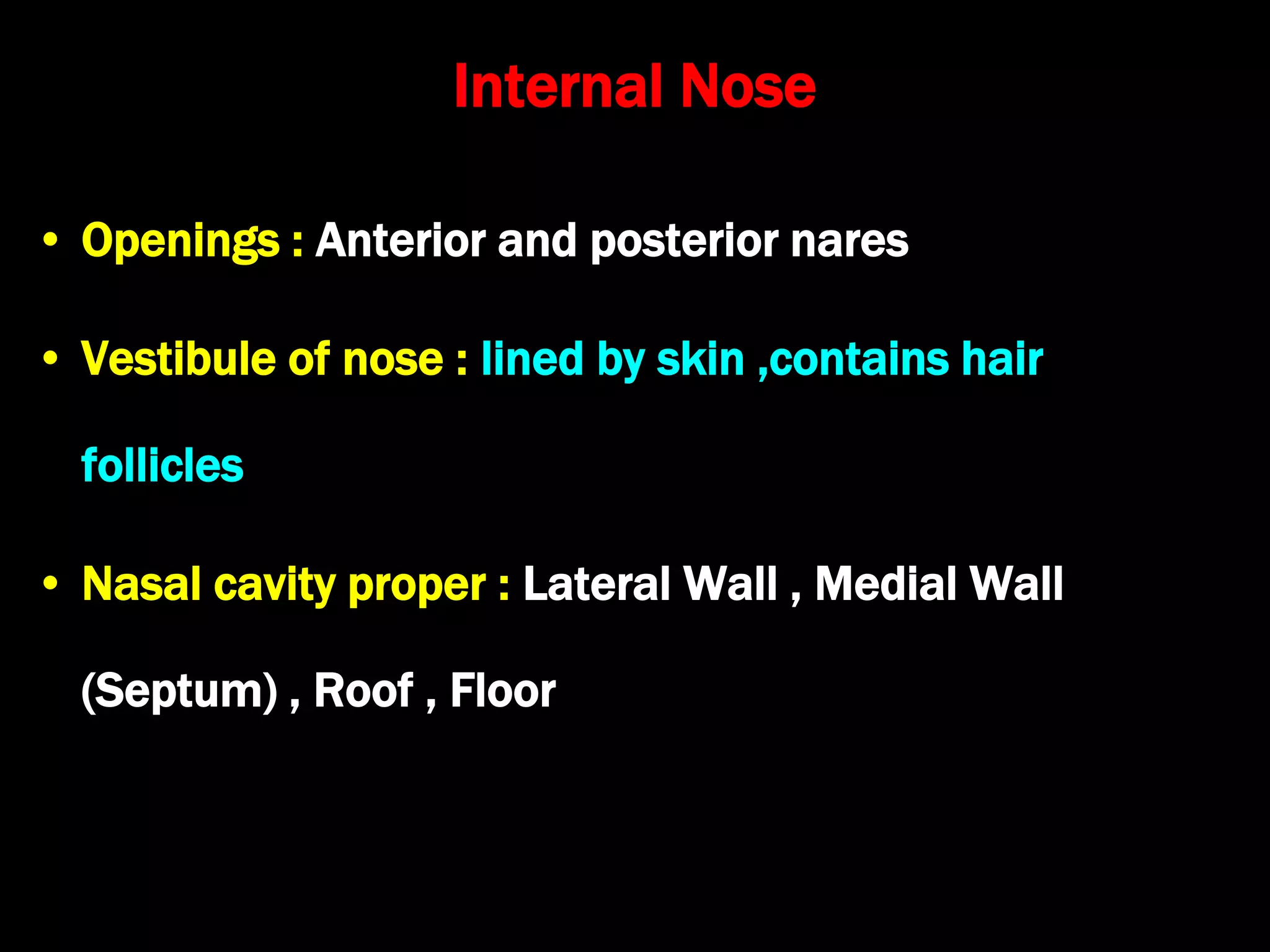 Anatomy and physiology of nose and paranasal sinuses | PPT