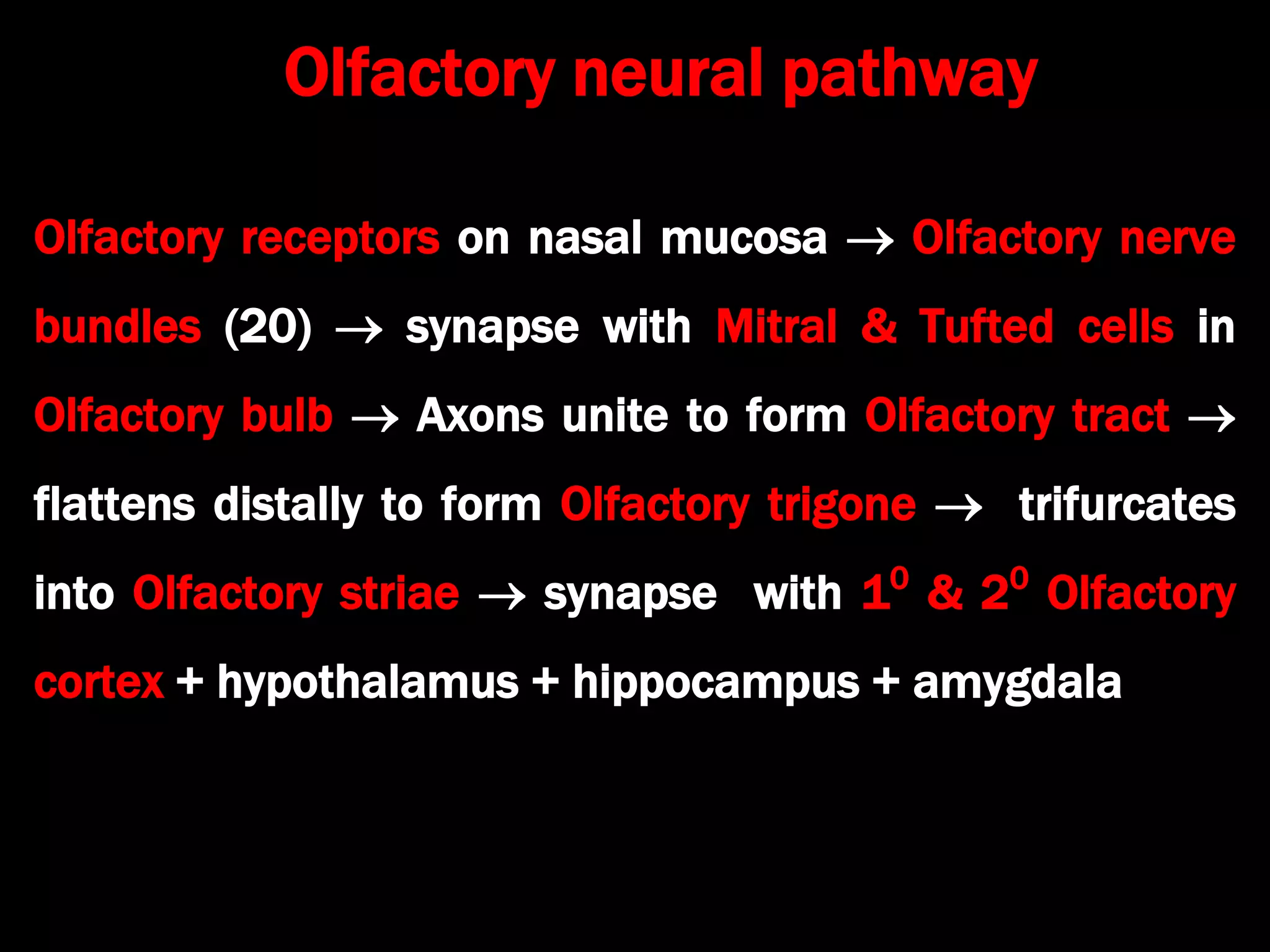 Anatomy and physiology of nose and paranasal sinuses | PPT