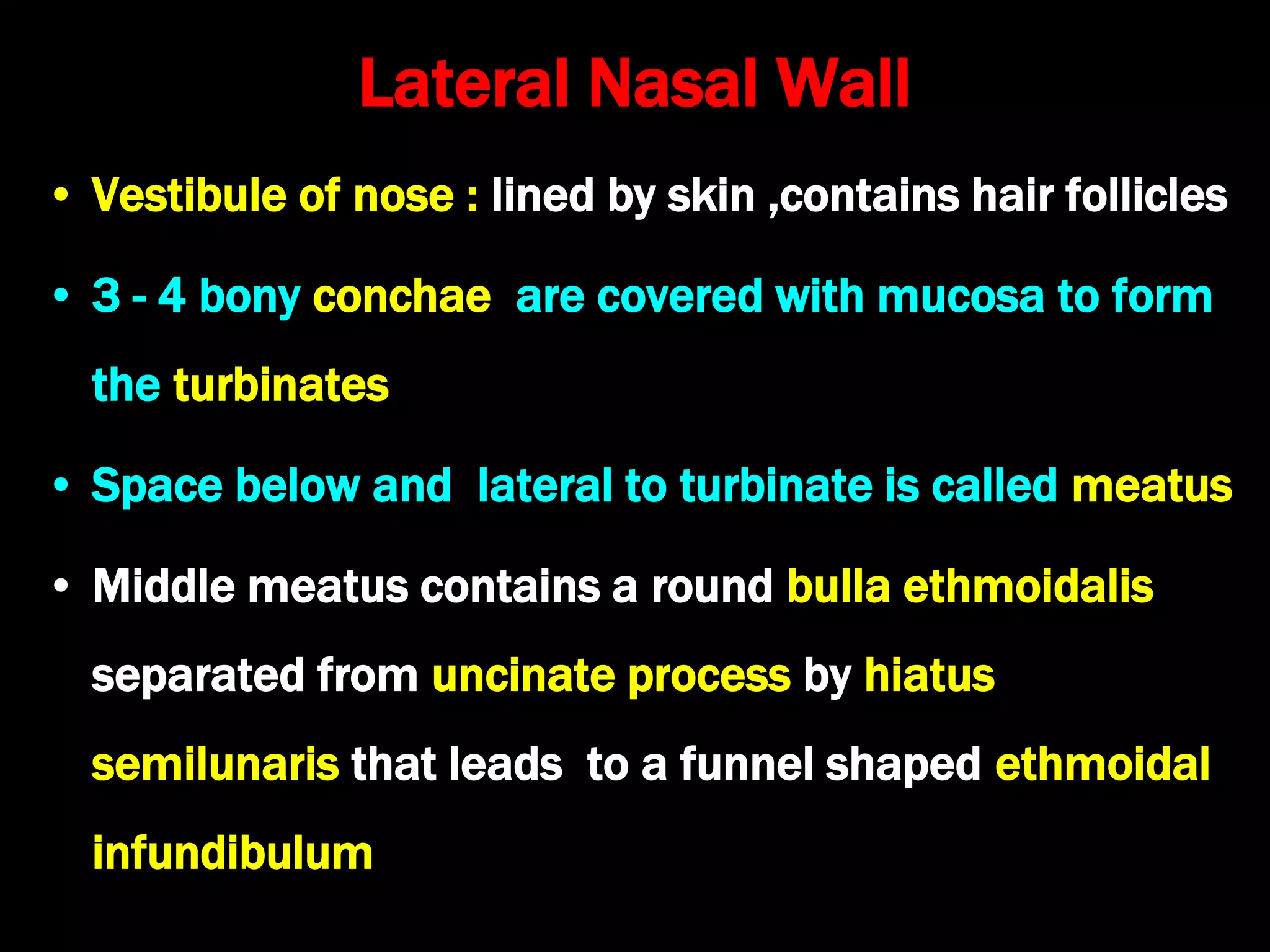 Anatomy and physiology of nose and paranasal sinuses | PPT