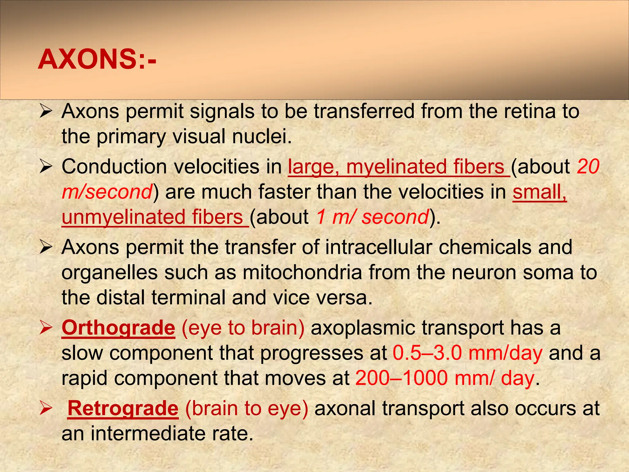 Anatomy and Physiology of Optic Nerve Dr.PrabhatDevkota.pptx