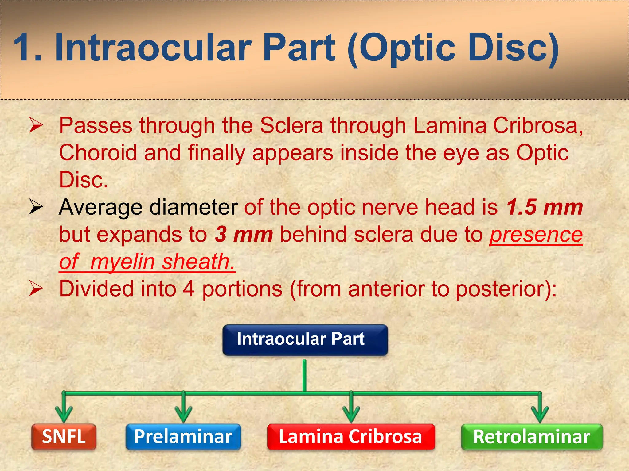Anatomy and Physiology of Optic Nerve Dr.PrabhatDevkota.pptx
