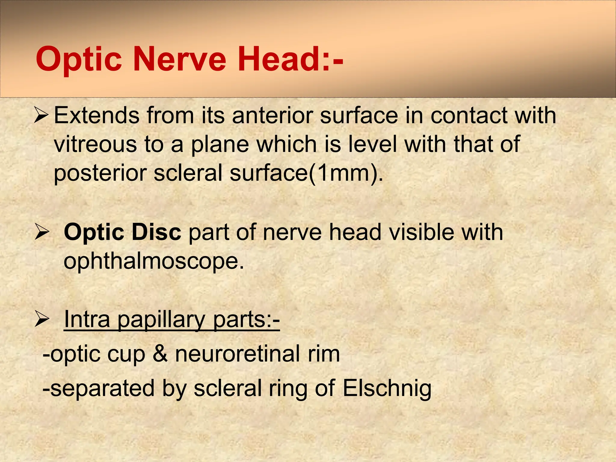 Anatomy and Physiology of Optic Nerve Dr.PrabhatDevkota.pptx
