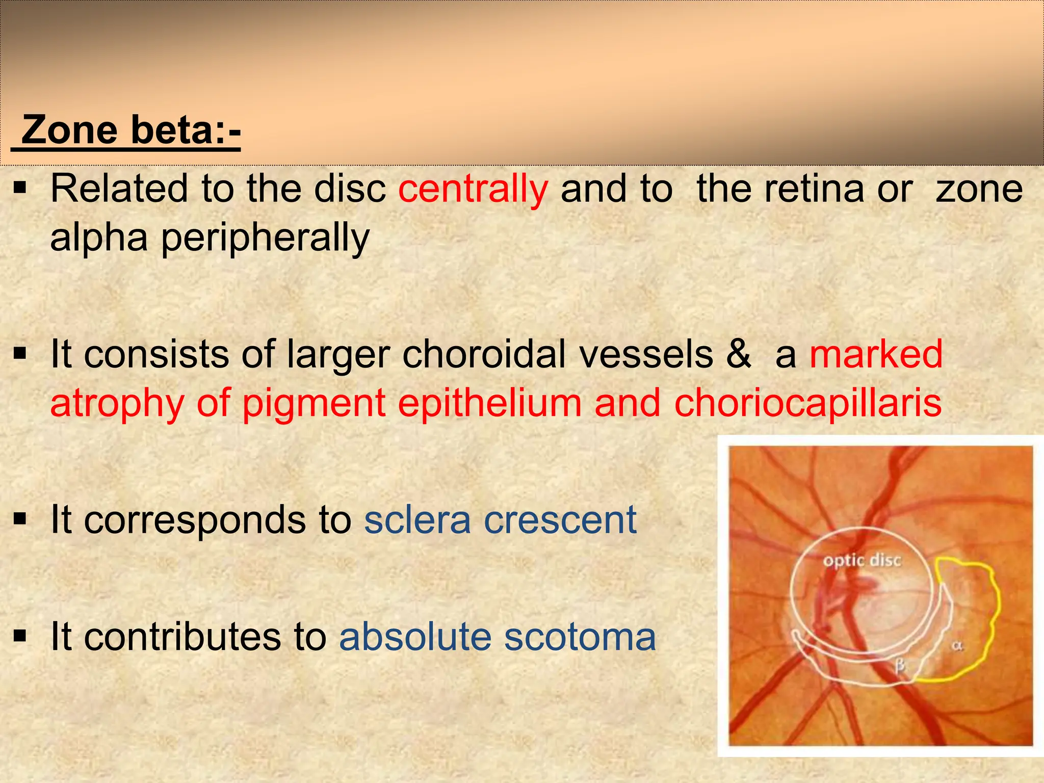 Anatomy and Physiology of Optic Nerve Dr.PrabhatDevkota.pptx