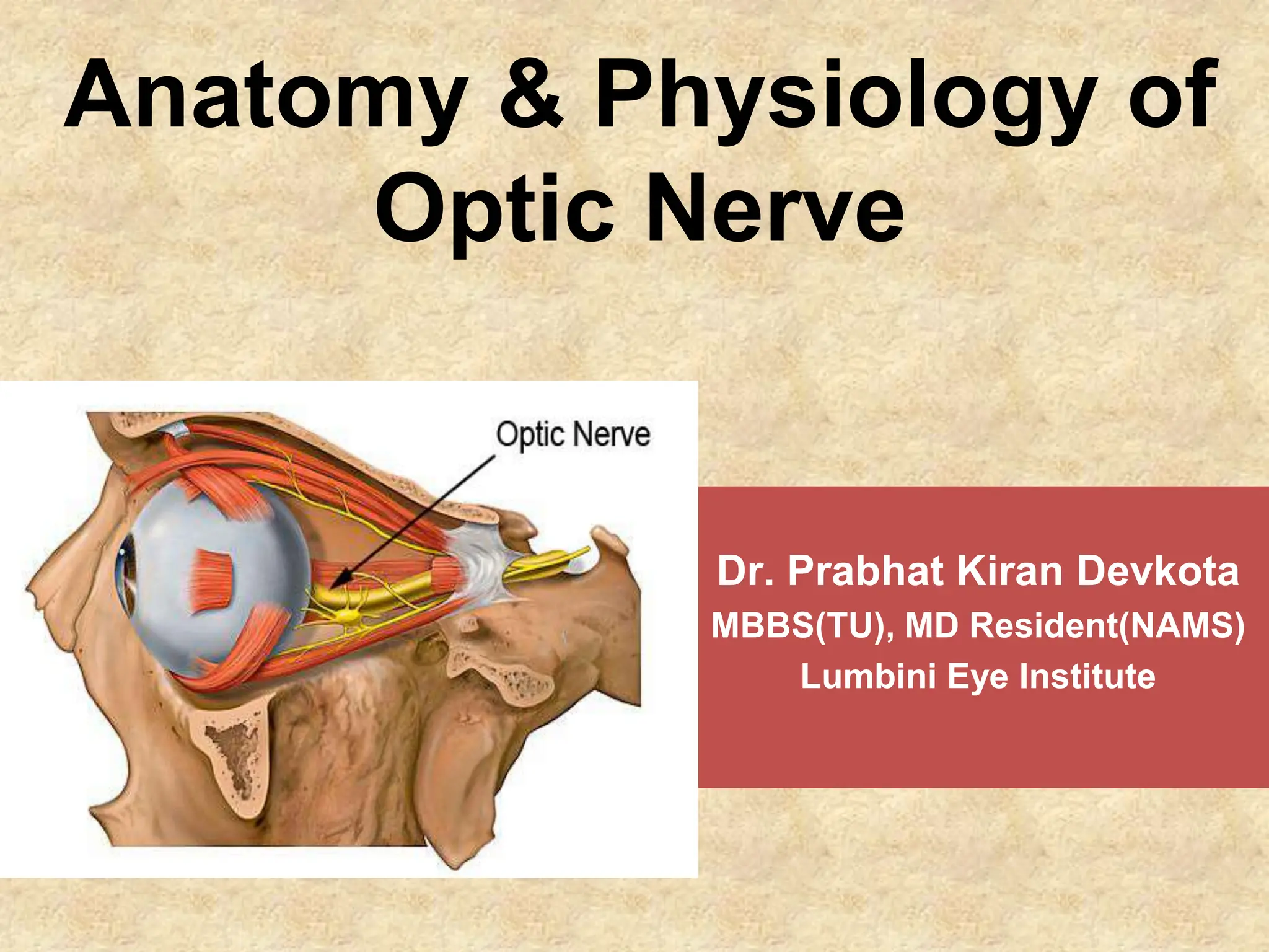 Anatomy and Physiology of Optic Nerve Dr.PrabhatDevkota.pptx