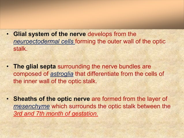 Anatomy and Physiology of Optic Nerve Dr.PrabhatDevkota.pptx | Eye and ...