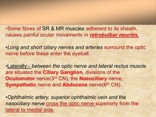 Anatomy and Physiology of Optic Nerve Dr.PrabhatDevkota.pptx
