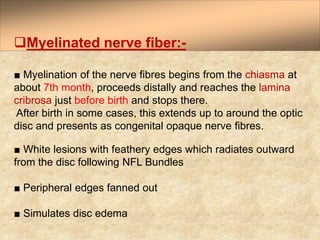 Anatomy and Physiology of Optic Nerve Dr.PrabhatDevkota.pptx