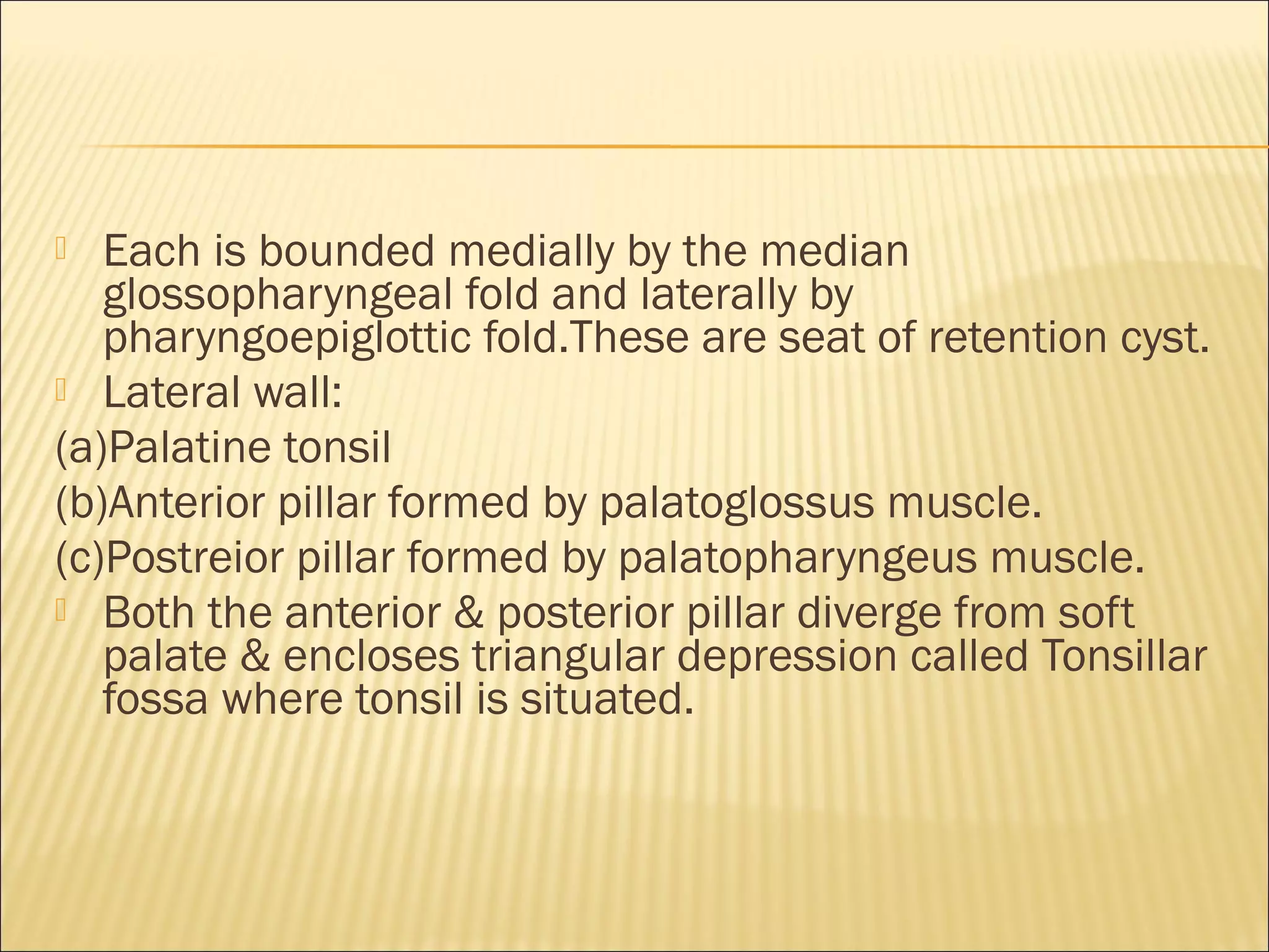 Anatomy and physiology of oral cavity oropharynx waldeyer’s | PPT