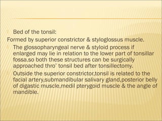 Anatomy and physiology of oral cavity oropharynx waldeyer’s | PPT