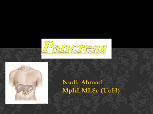 Anatomy and Physiology of Pancreas.pptx