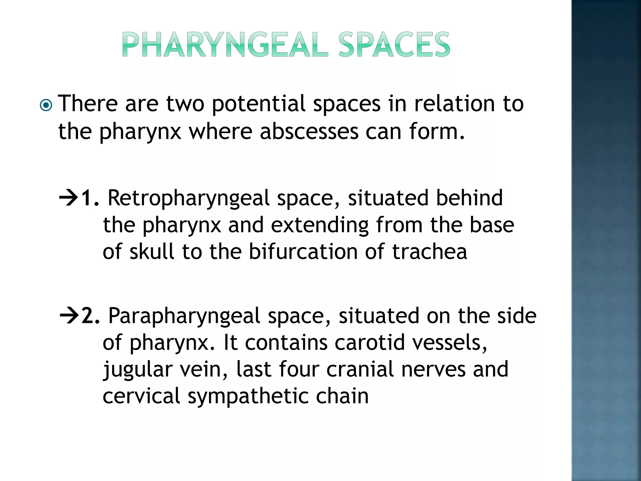 Anatomy and physiology of pharynx | PPTX
