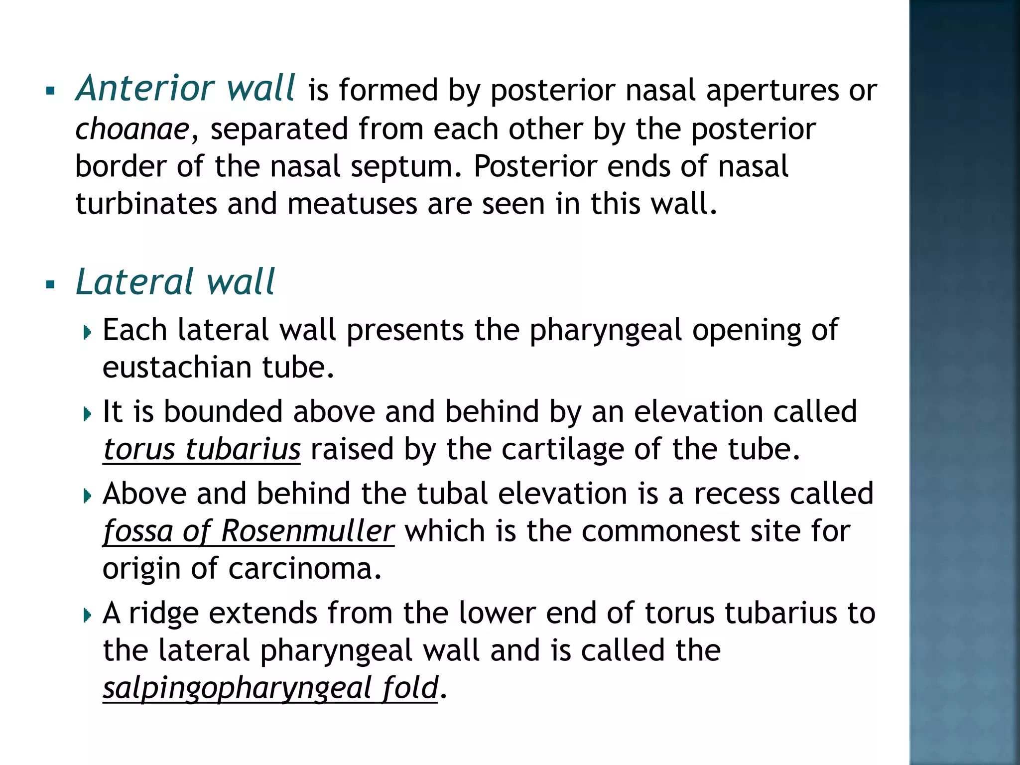 Anatomy and physiology of pharynx | PPTX