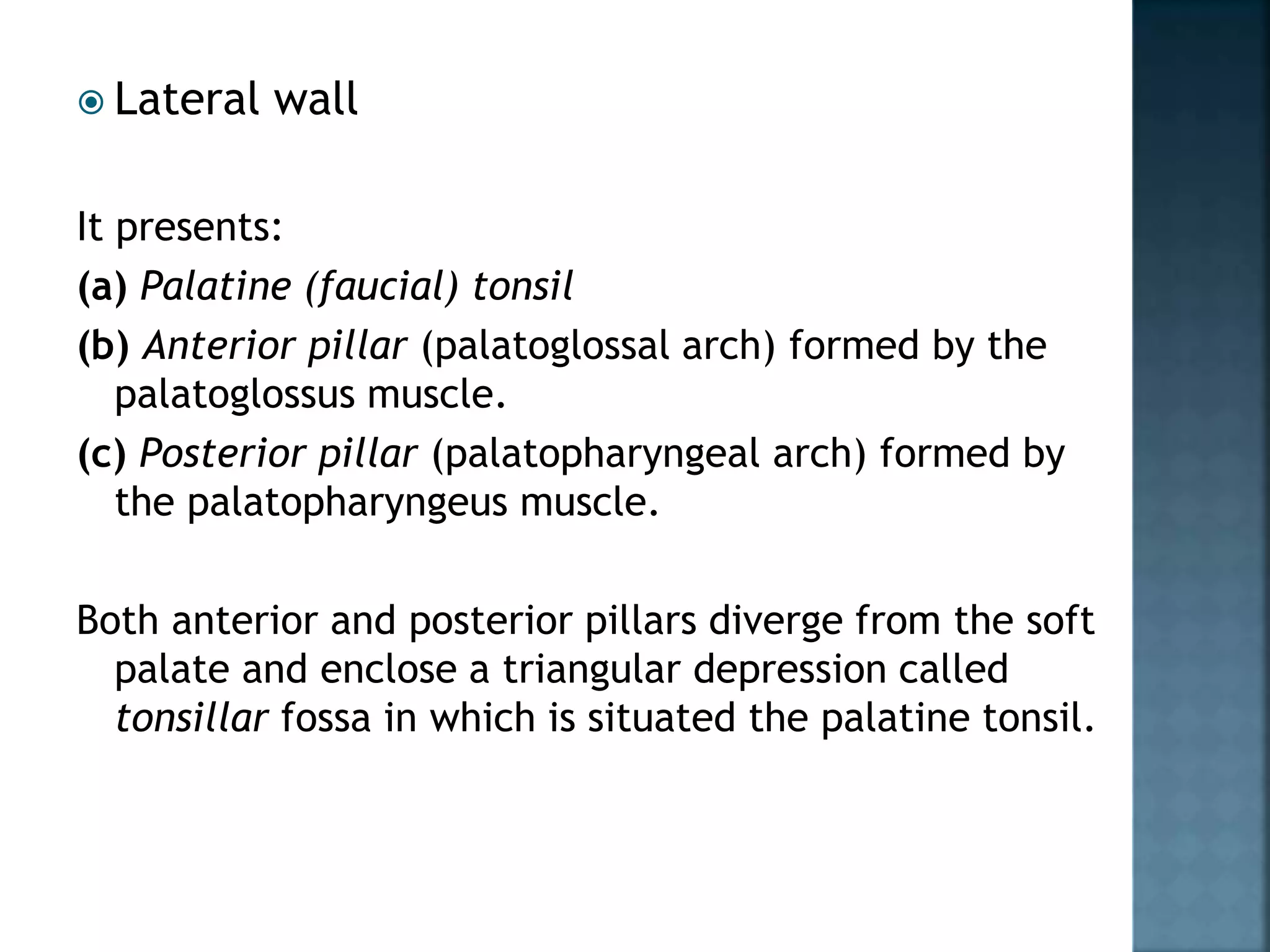 Anatomy and physiology of pharynx | PPTX