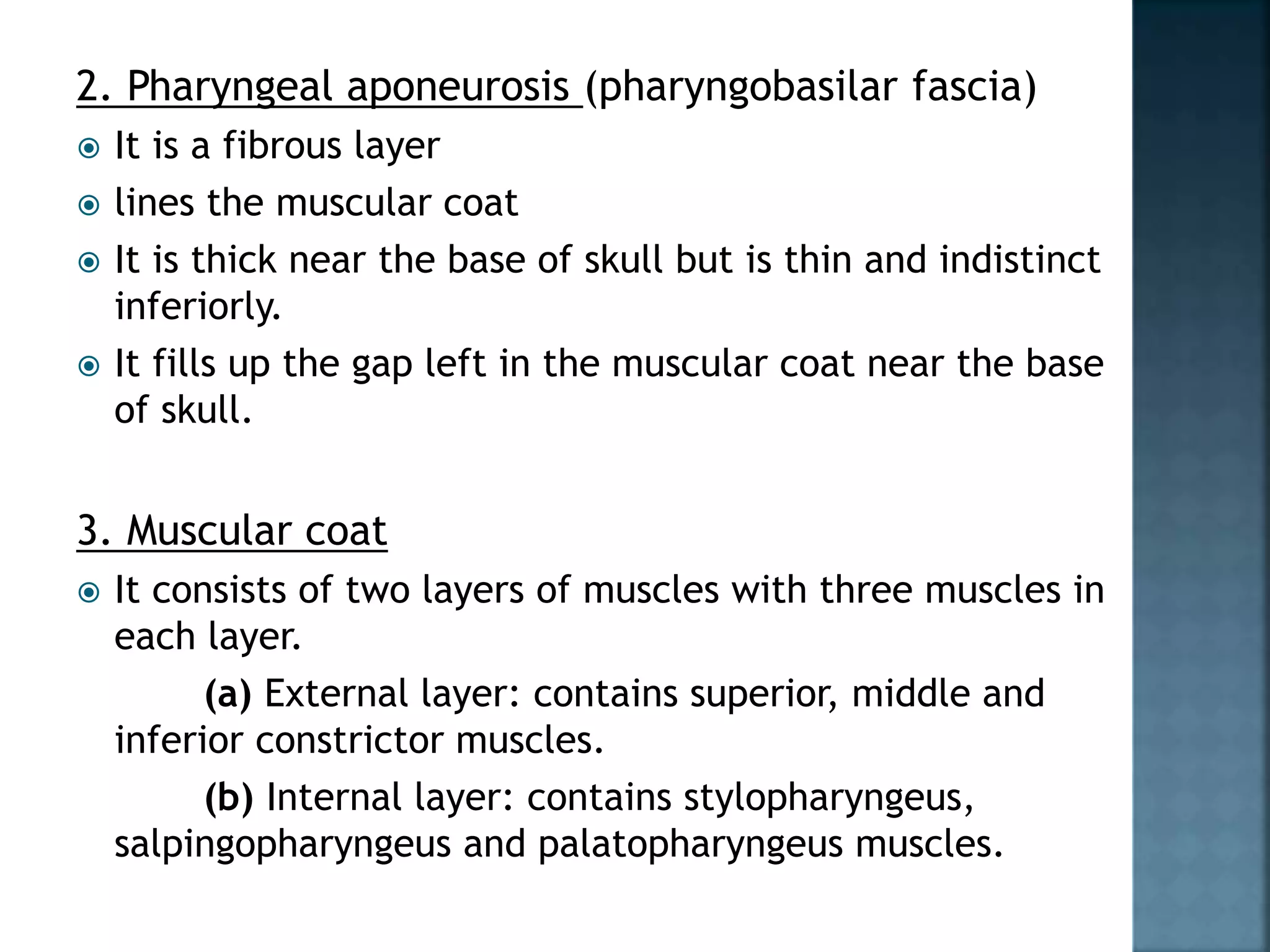 Anatomy and physiology of pharynx | PPTX