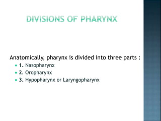 Anatomy and physiology of pharynx | PPTX