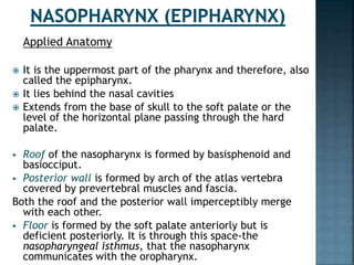 Anatomy and physiology of pharynx | PPTX