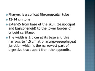 Anatomy and physiology of pharynx | PPTX