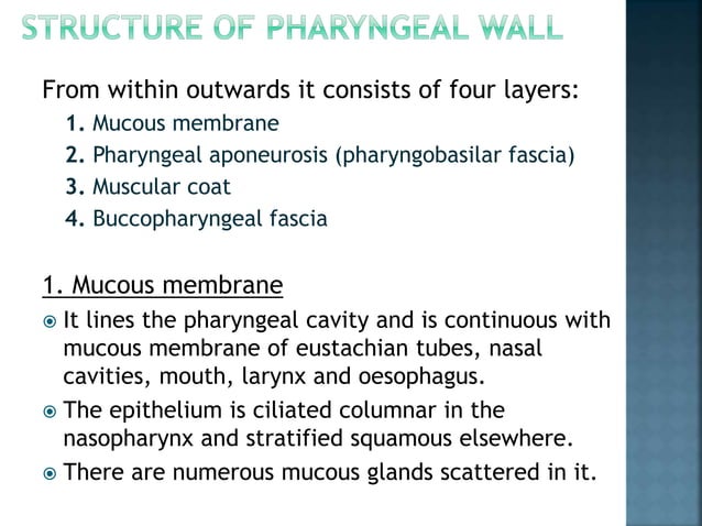 Anatomy and physiology of pharynx | PPTX