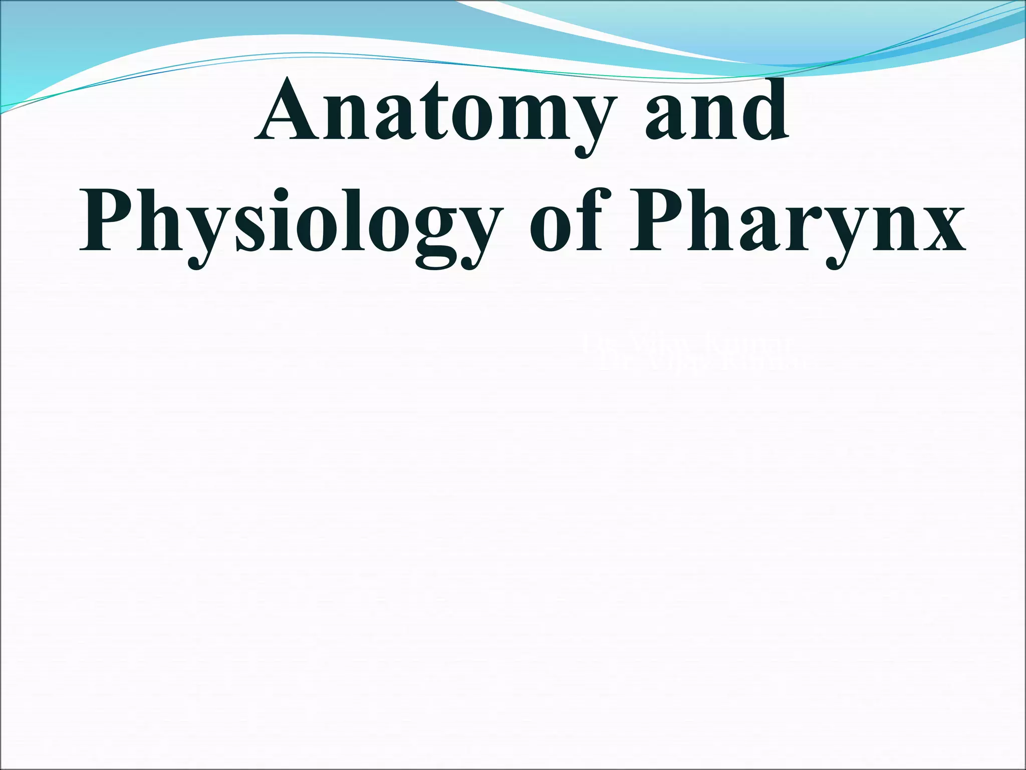 Anatomy and Physiology of Pharynx.ppt | Ear, Nose and Throat Conditions | Diseases and Conditions