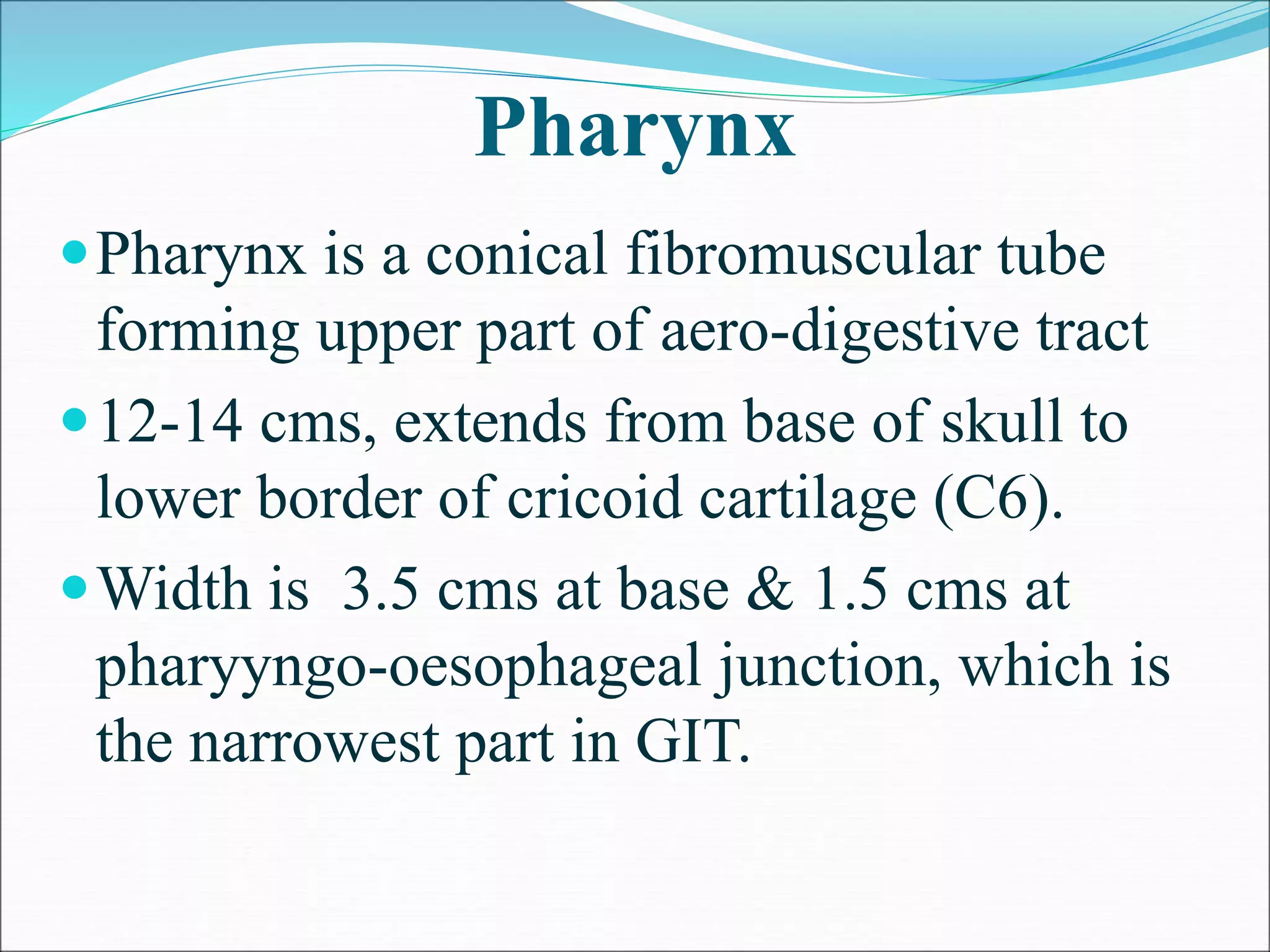 Anatomy and Physiology of Pharynx.ppt | Ear, Nose and Throat Conditions | Diseases and Conditions