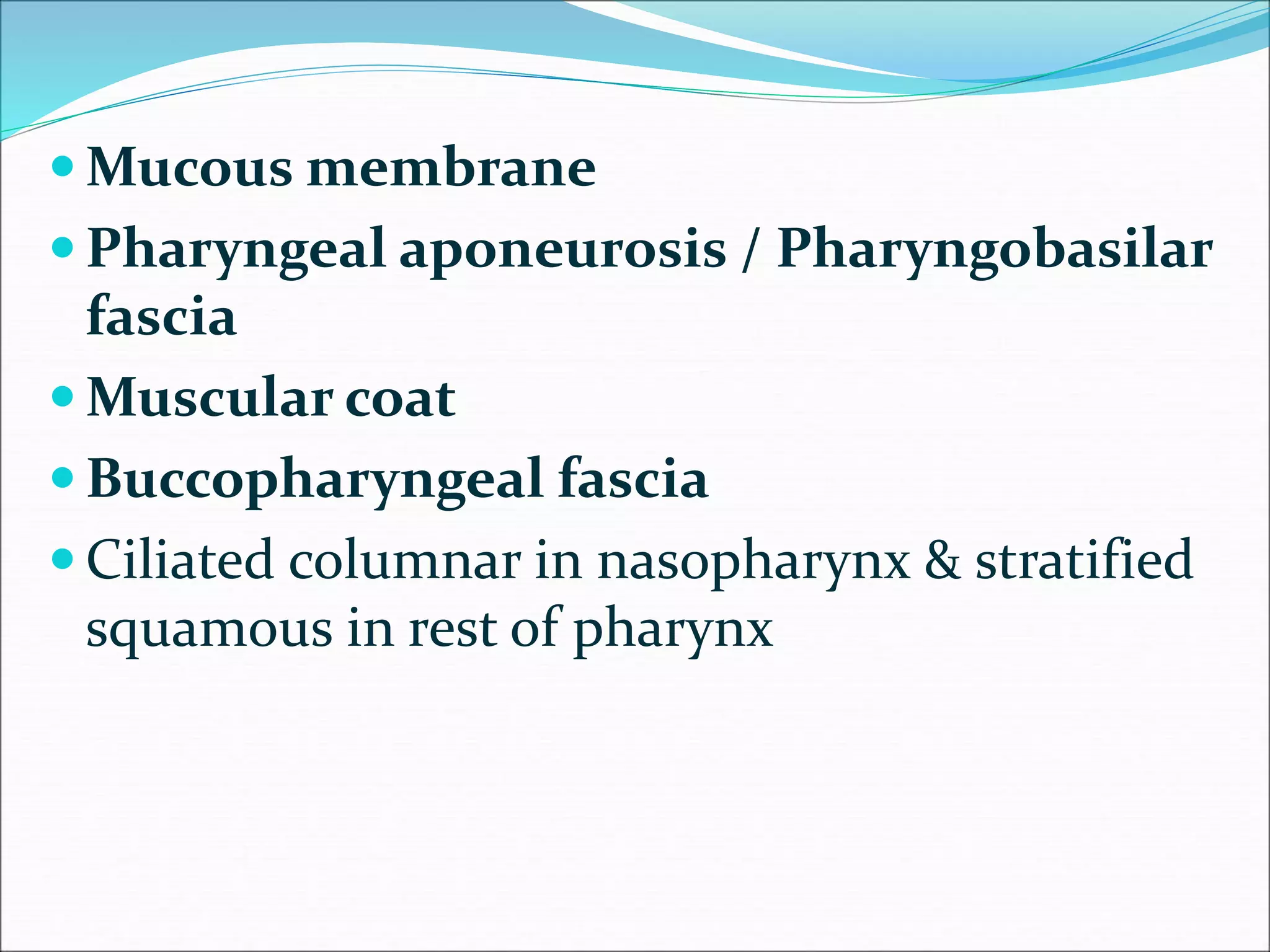 Anatomy and Physiology of Pharynx.ppt