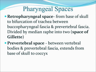Anatomy and Physiology of Pharynx.ppt