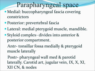 Anatomy and Physiology of Pharynx.ppt