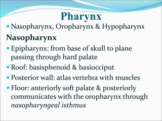 Anatomy and Physiology of Pharynx.ppt