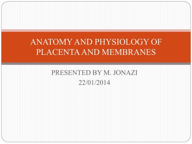 ANATOMY AND PHYSIOLOGY OF PLACENTA AND MEMBRANES.ppt | Pregnancy ...