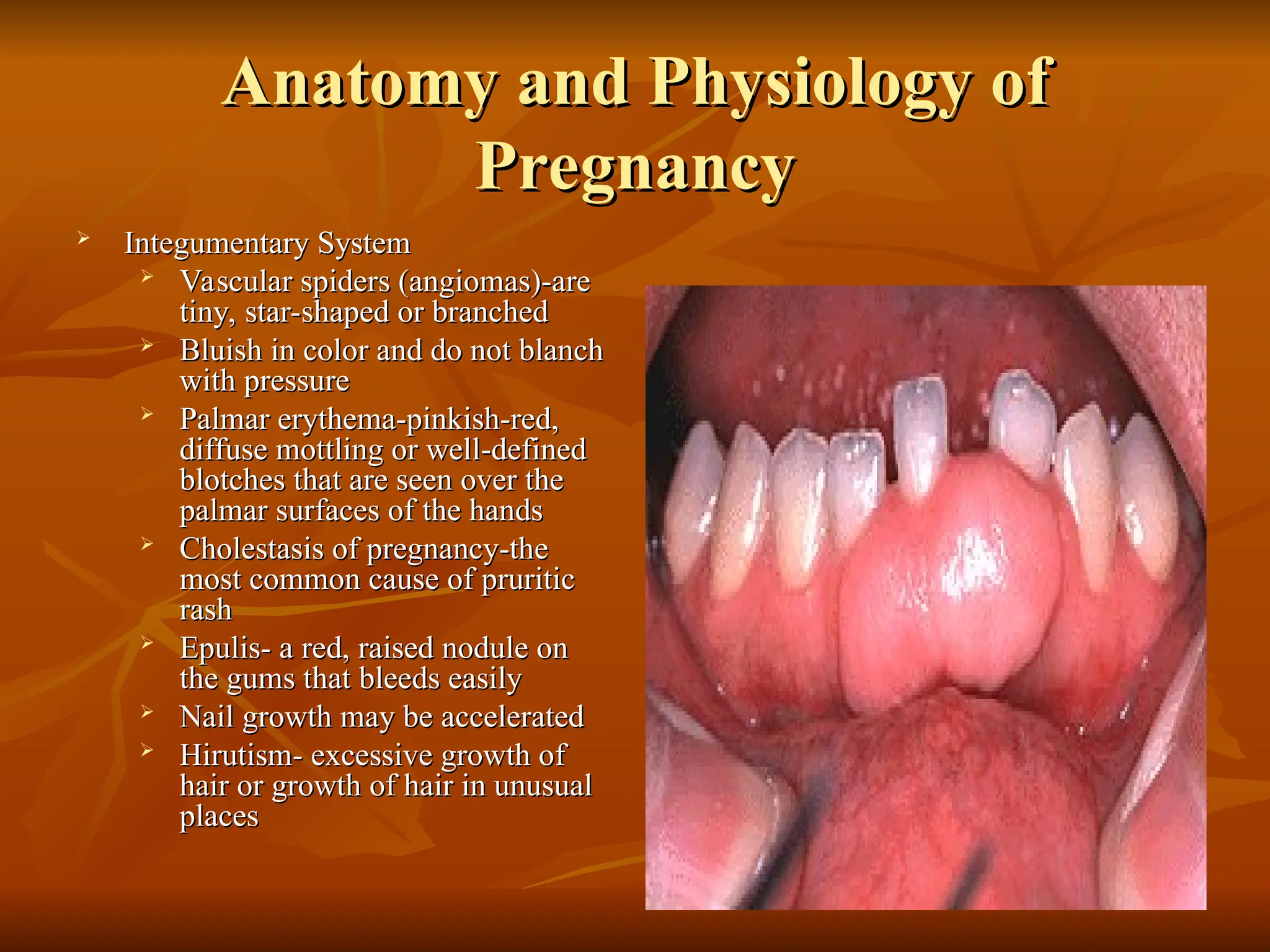 Anatomy and Physiology of Pregnancy for bsc | PPT