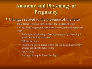 Anatomy and Physiology of Pregnancy for bsc | PPT