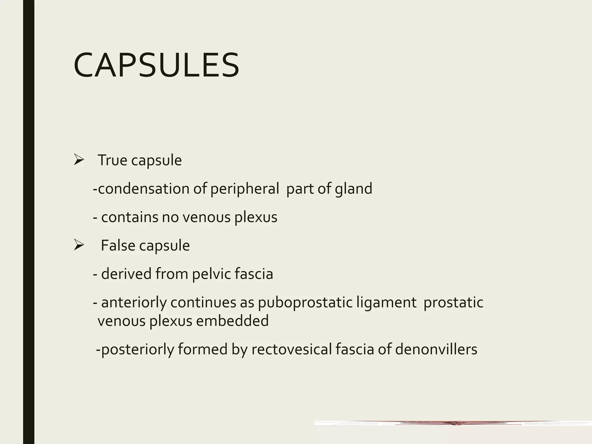 Anatomy and physiology of prostate | PPTX