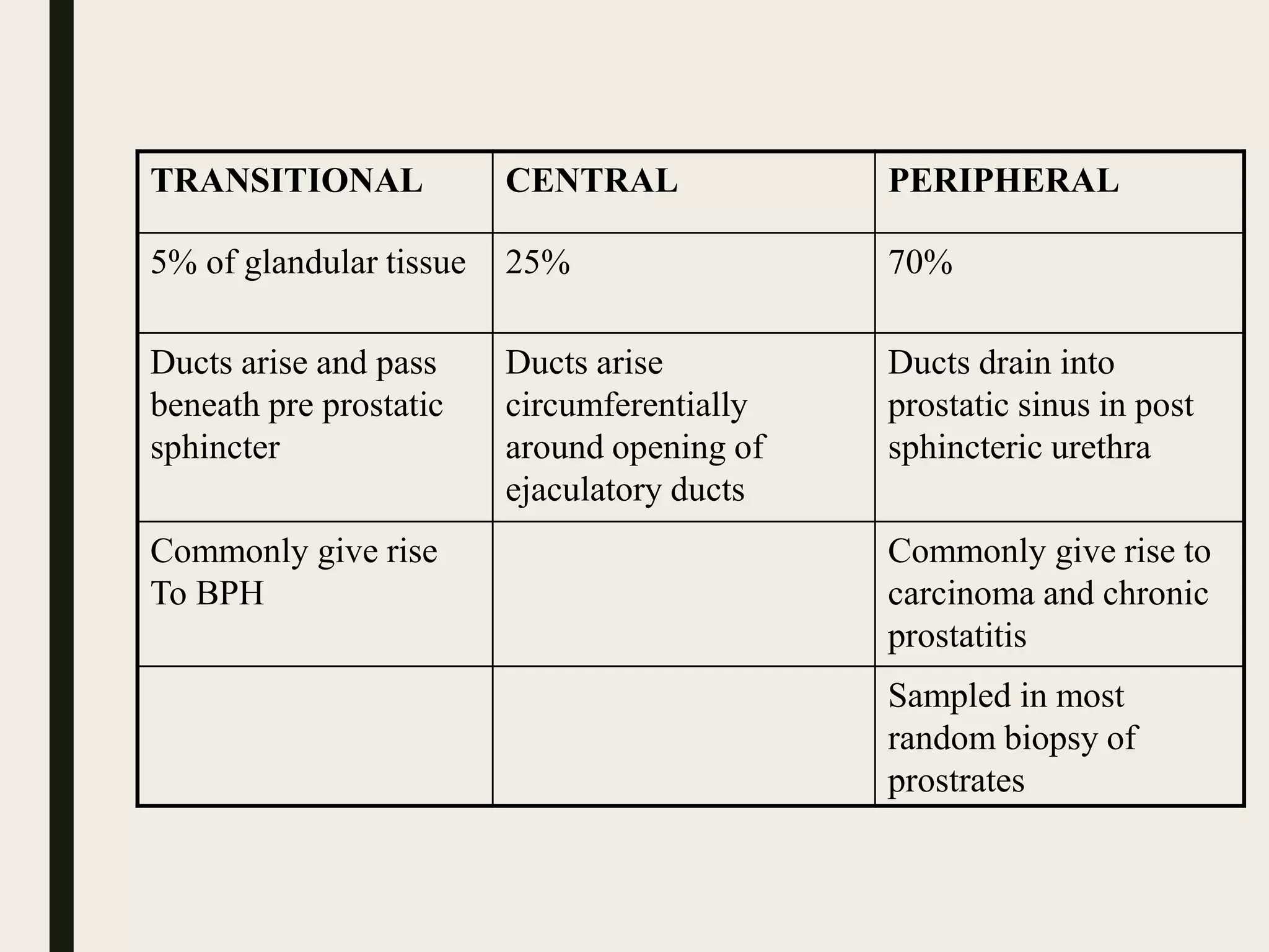 Anatomy and physiology of prostate | PPTX