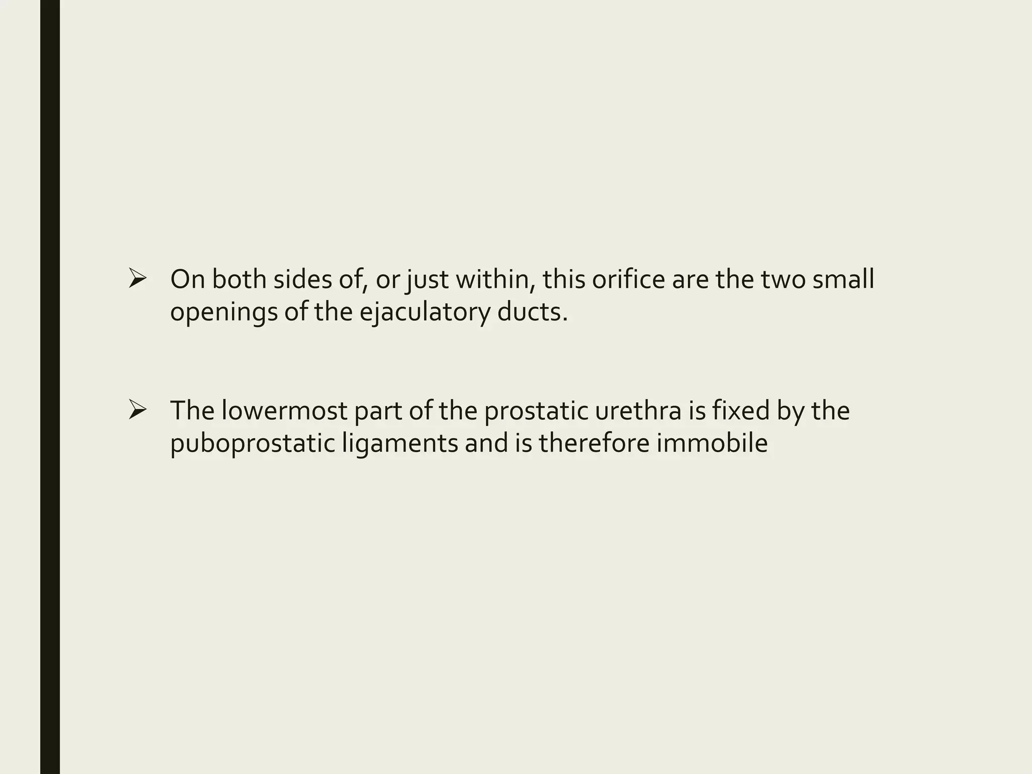 Anatomy and physiology of prostate | PPTX
