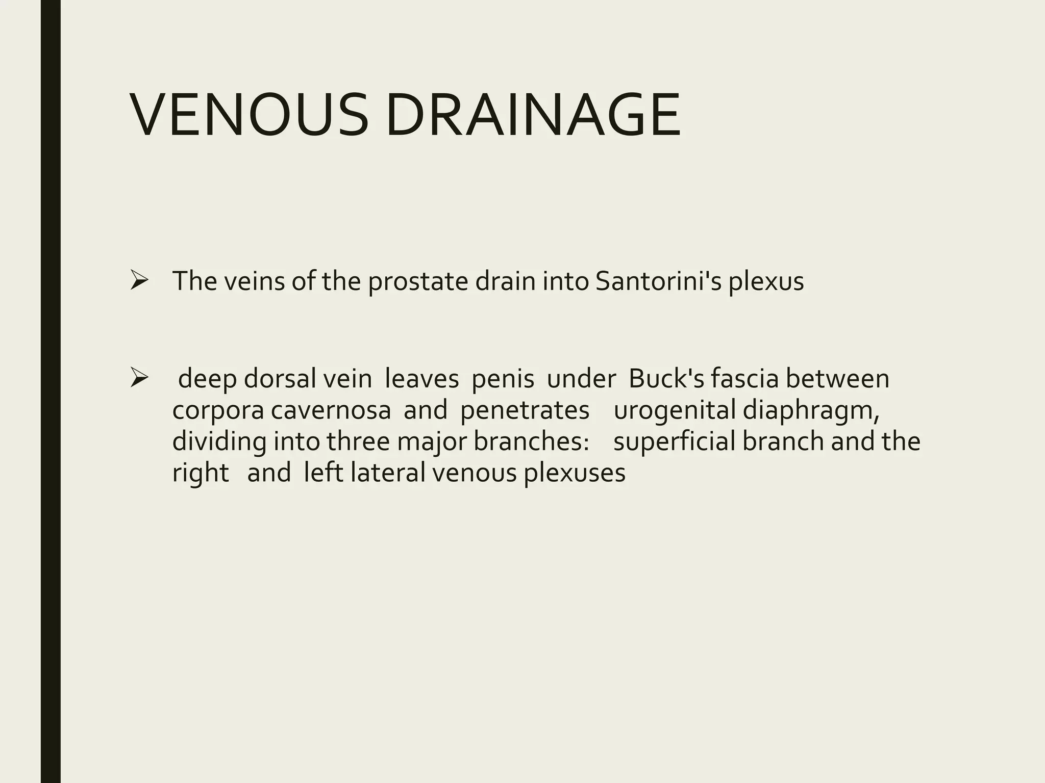 Anatomy and physiology of prostate | PPTX